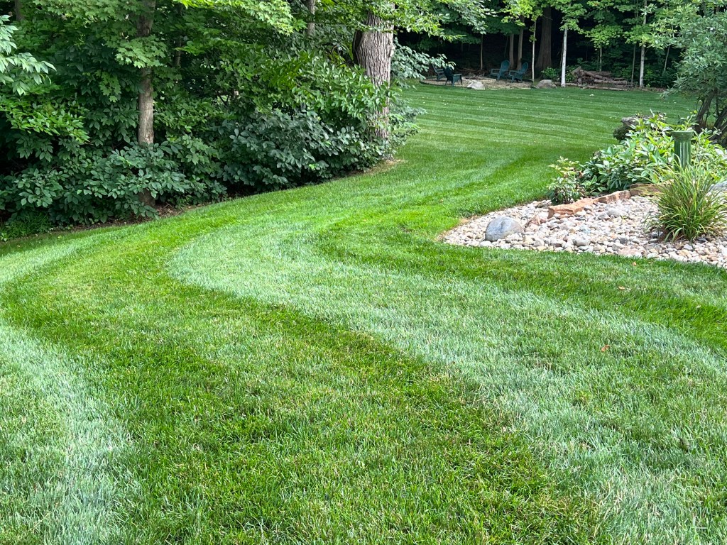 About Us - DL Davis Lawn & Grounds